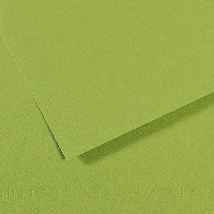 Mi Teintes 160gsm Pastel Paper 50 x 65cm Pkt 10 Apple Green 475 ...